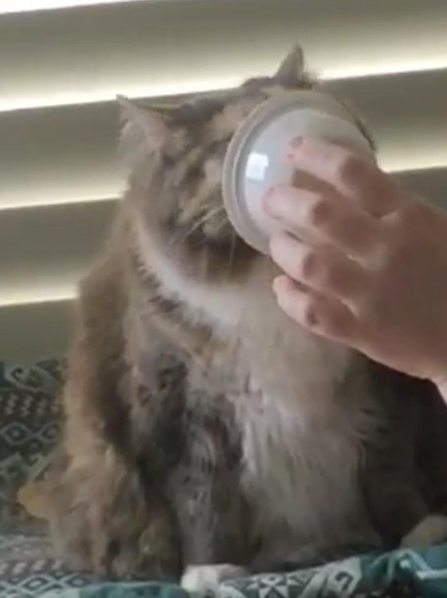 She eat da rice pudding | Scrolller