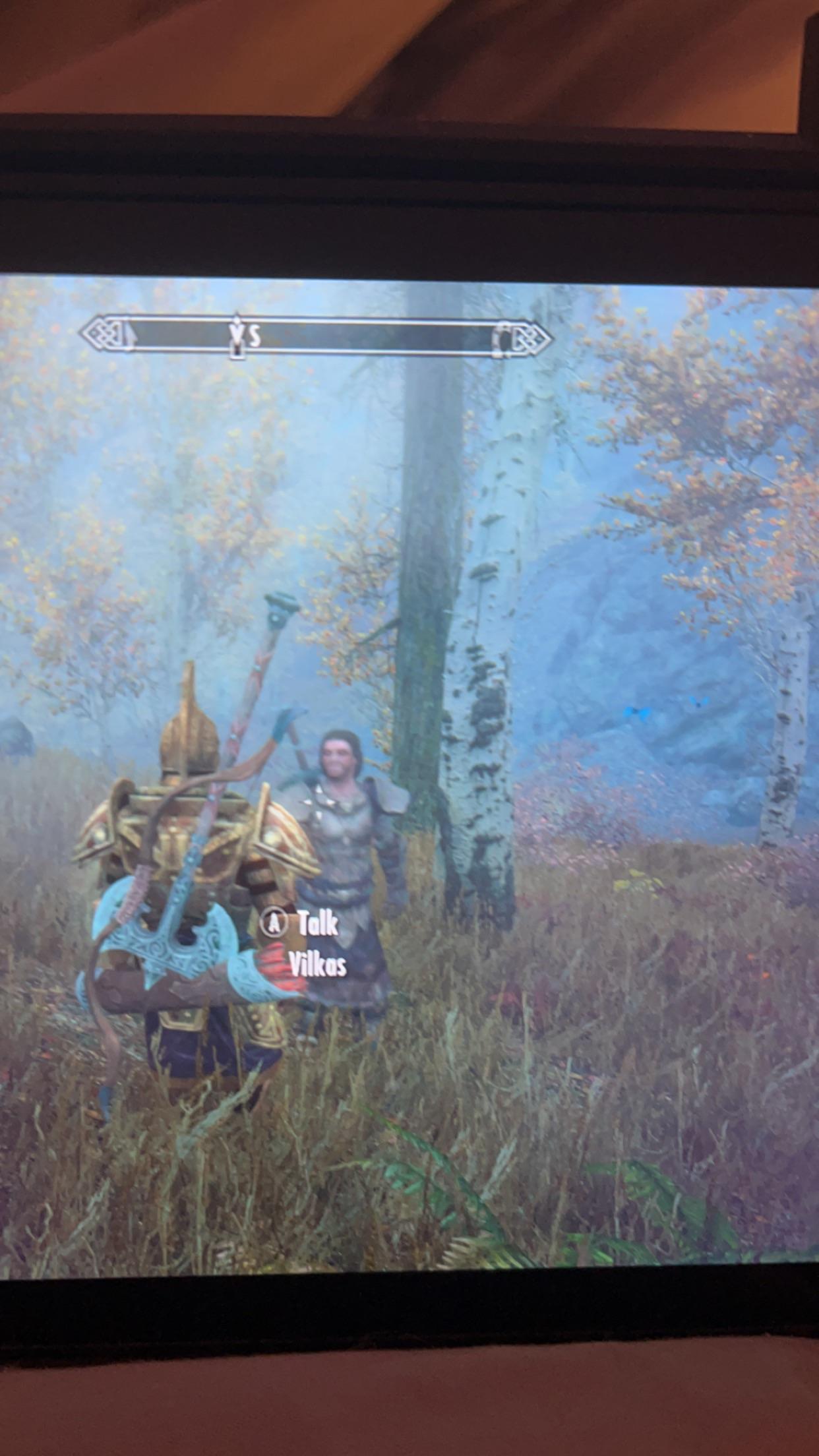 This is why Skyrim is so awesome | Scrolller