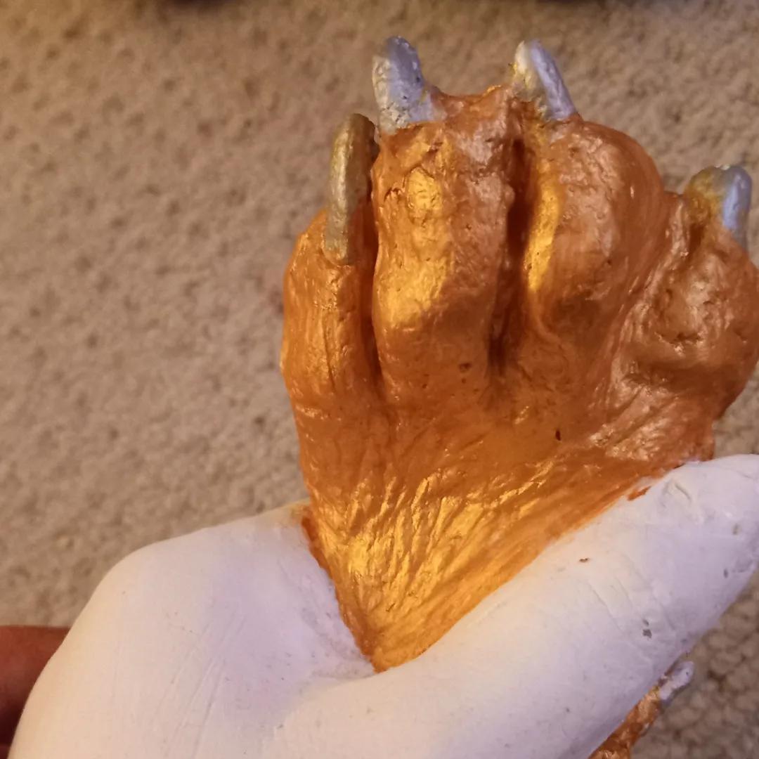 (Oc) did a cast of my 2 year old labradors paw, we had fun! | Scrolller