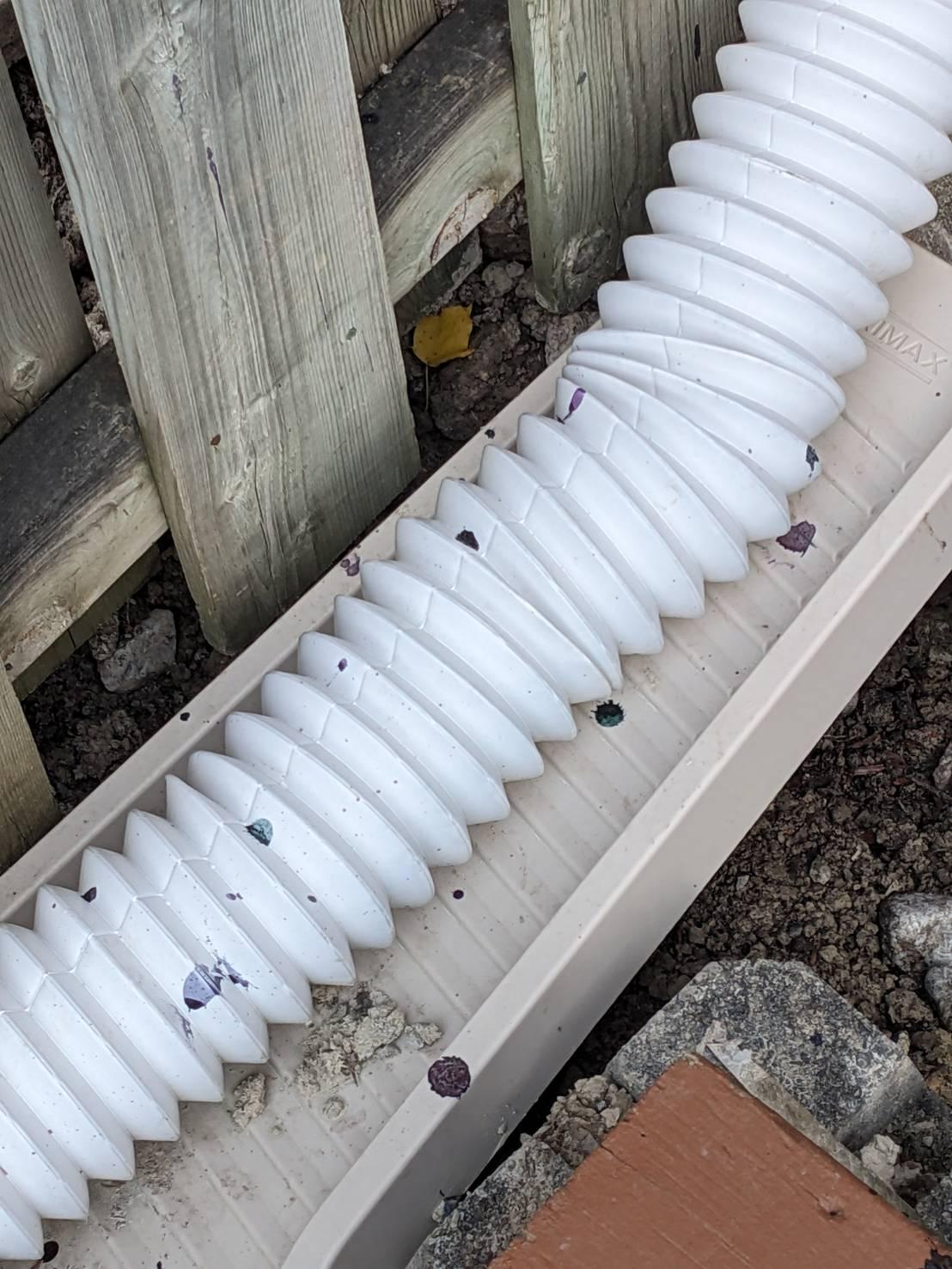 What is this splatter all over the backyard deck? | Scrolller