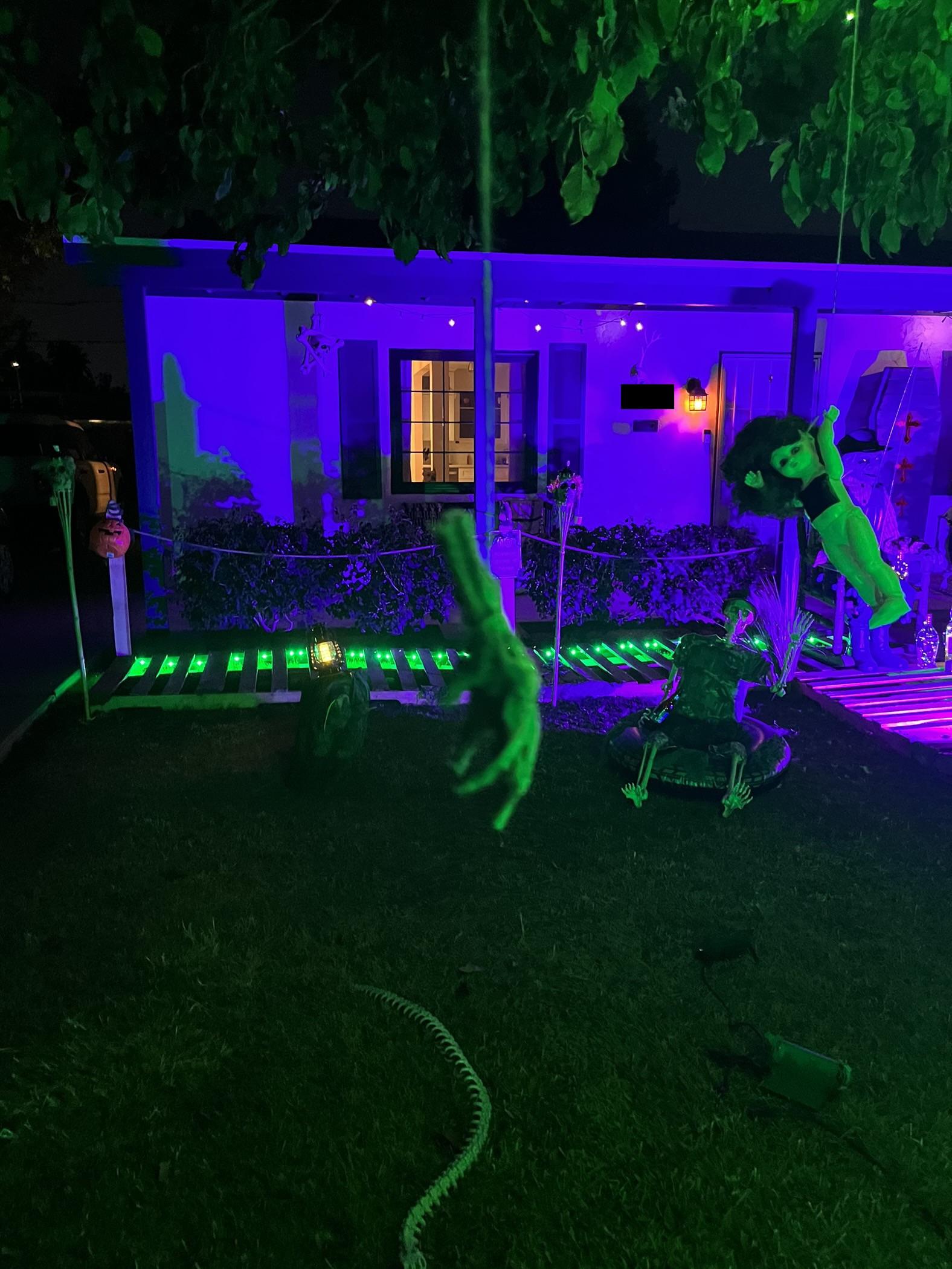 Our Haunted Swamp | Scrolller