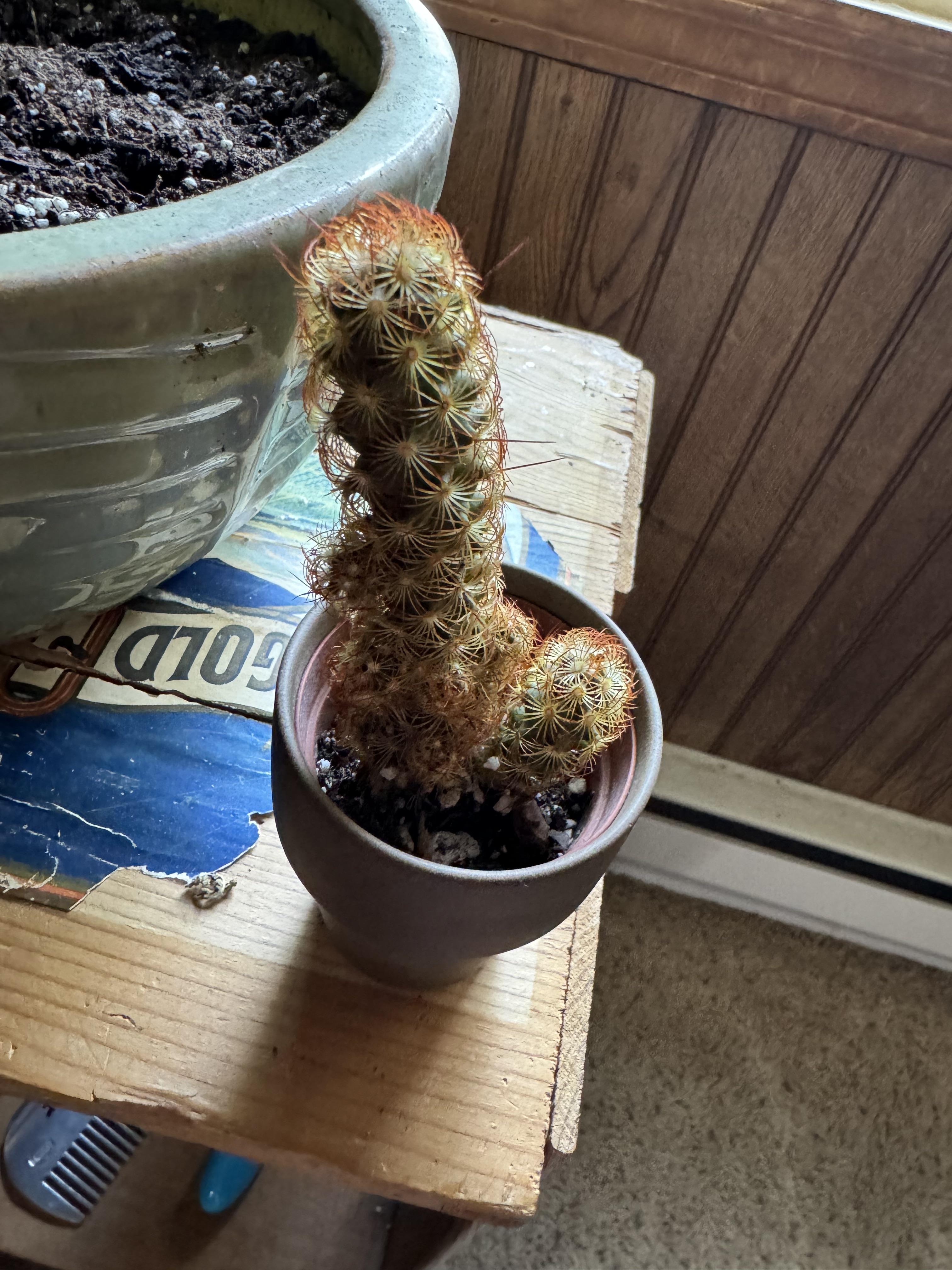 Identify? | Scrolller