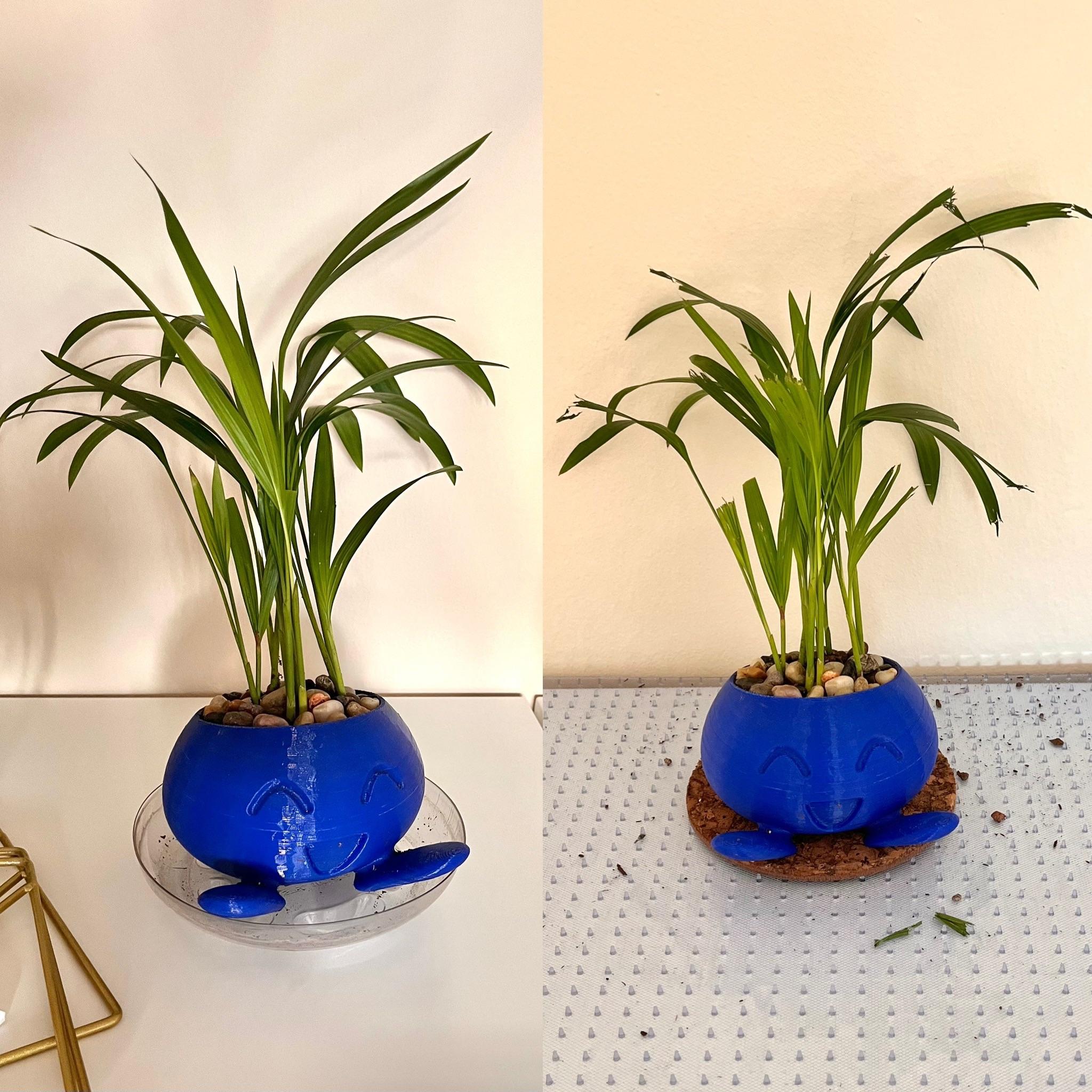 Naughty CAT used BITE. it was super effective! | Scrolller