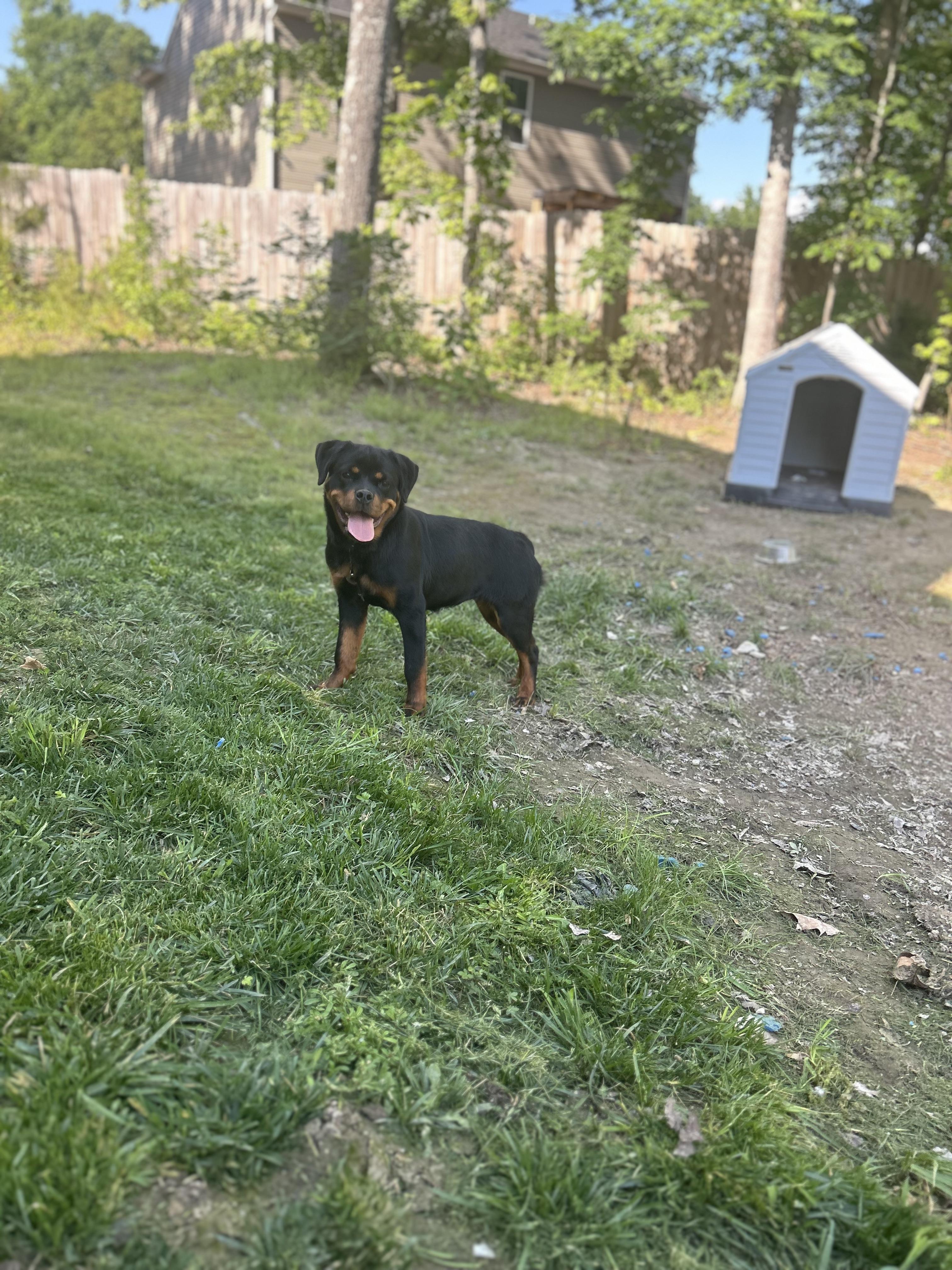 Srk Jada @ 7 months | Scrolller