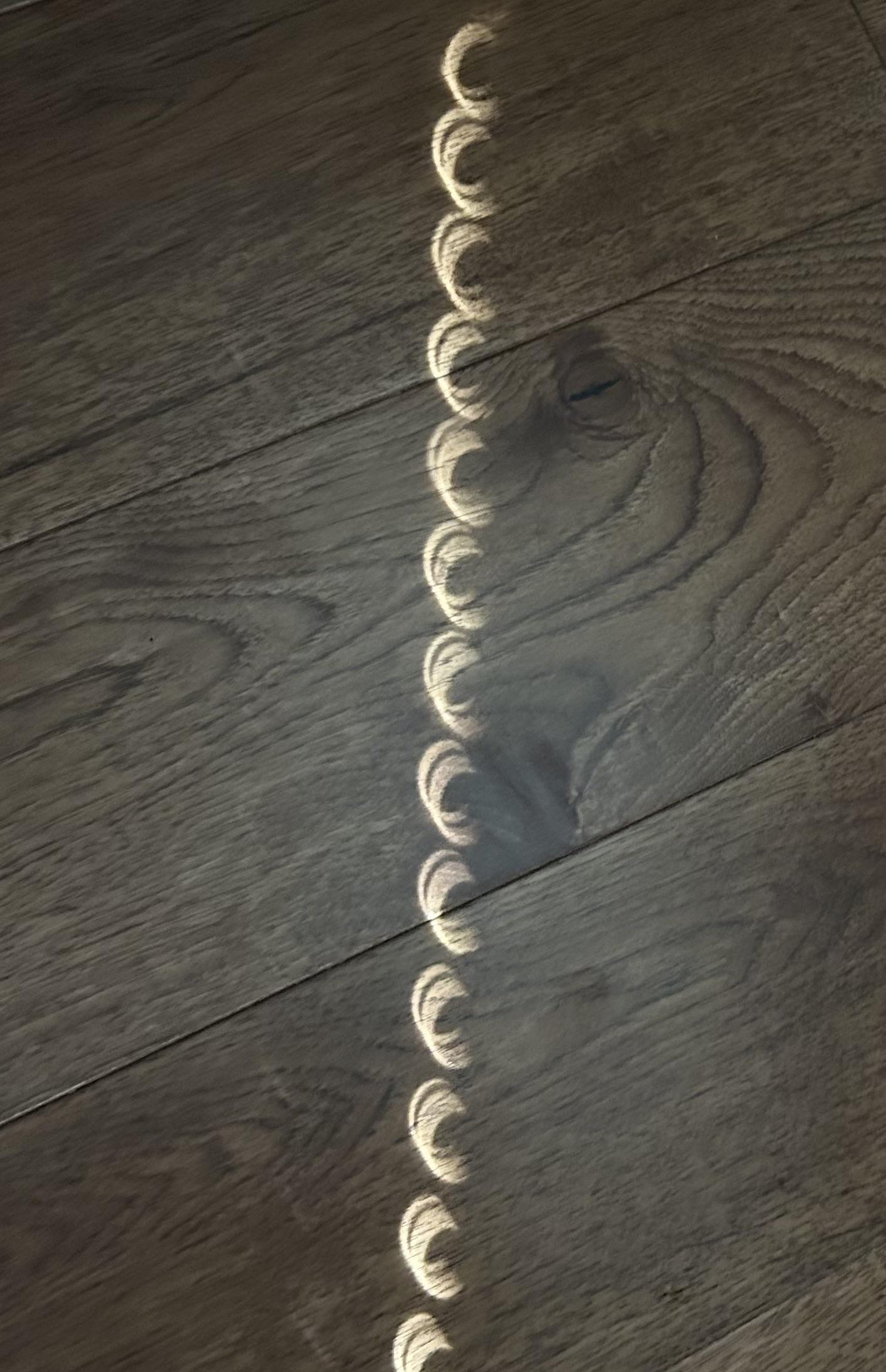 Eclipse Shadows | Scrolller