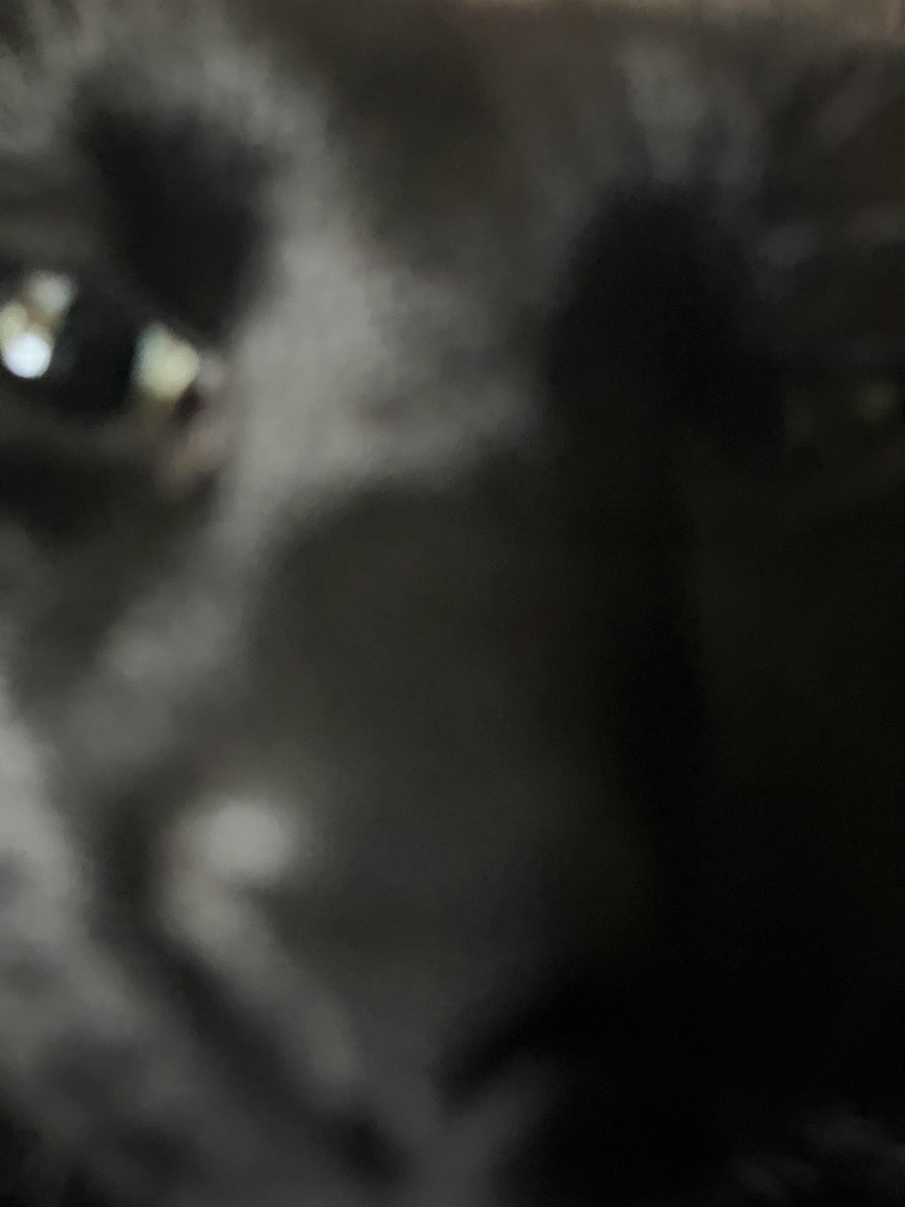 My new void | Scrolller