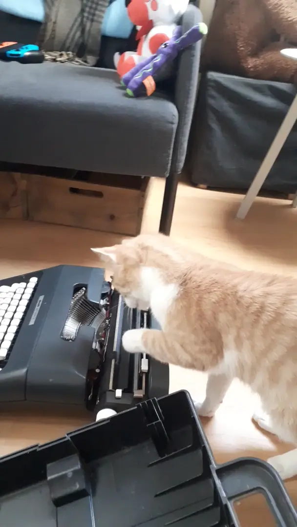 Zim discovers a typewriter | Scrolller