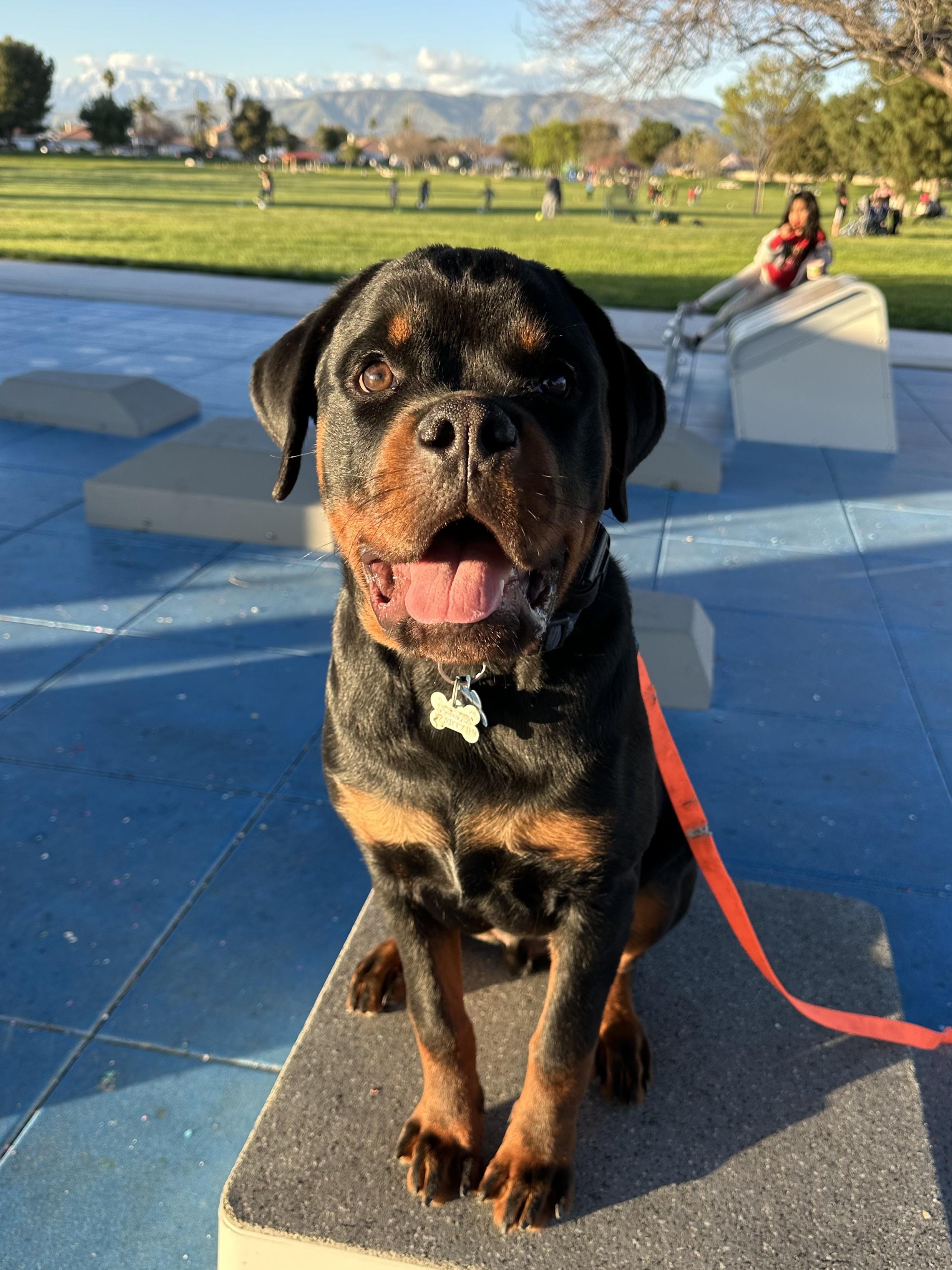 Theodore at 6 months | Scrolller