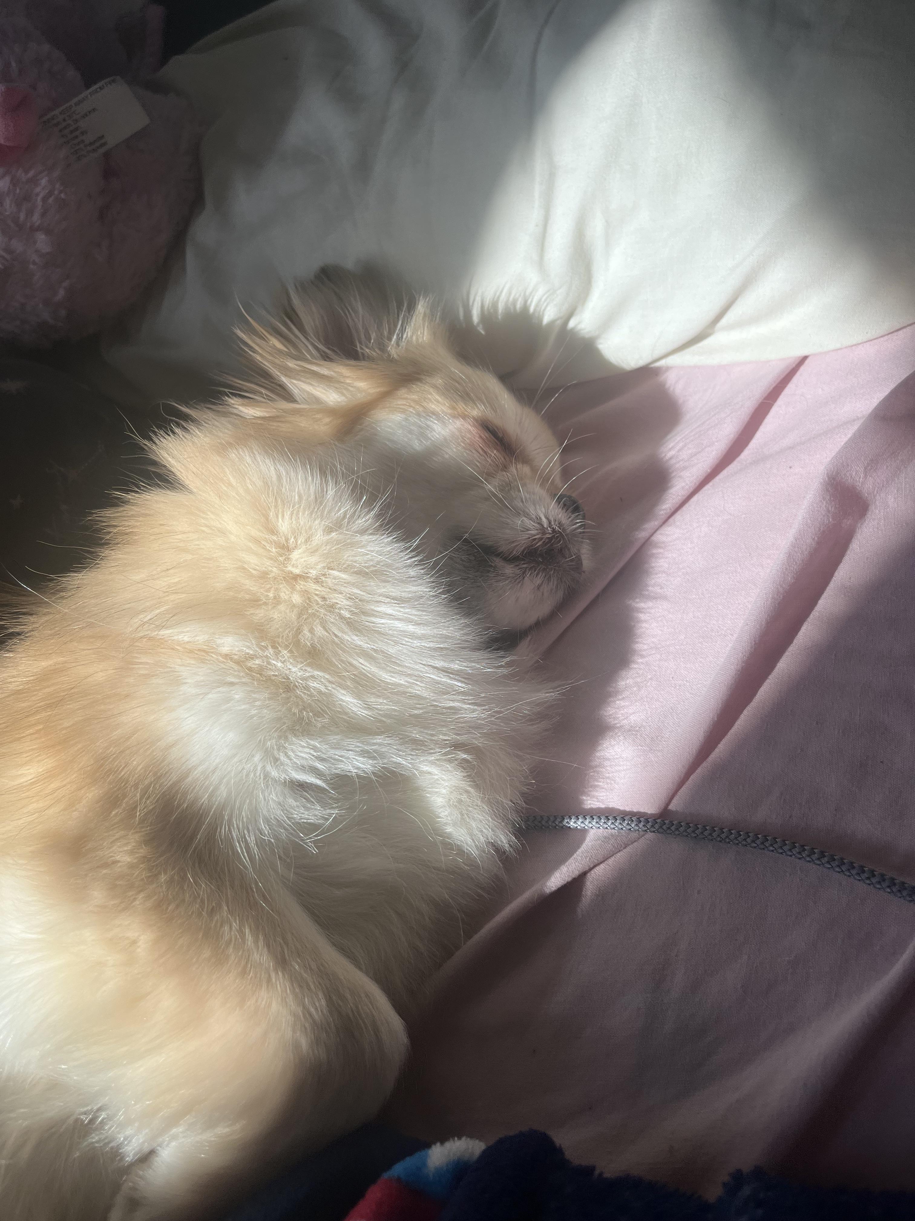 She’s so scary | Scrolller