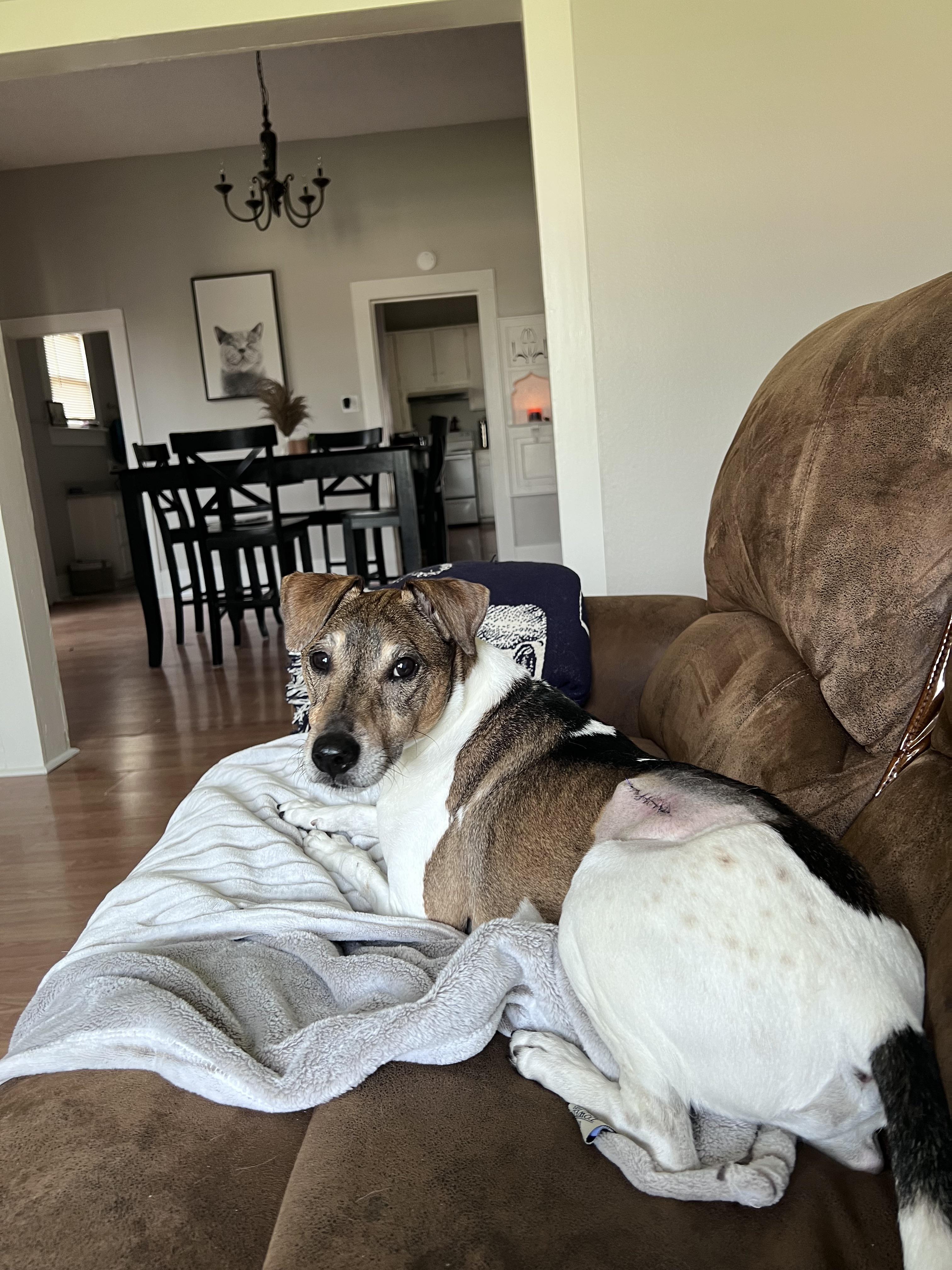 New Family Member | Scrolller