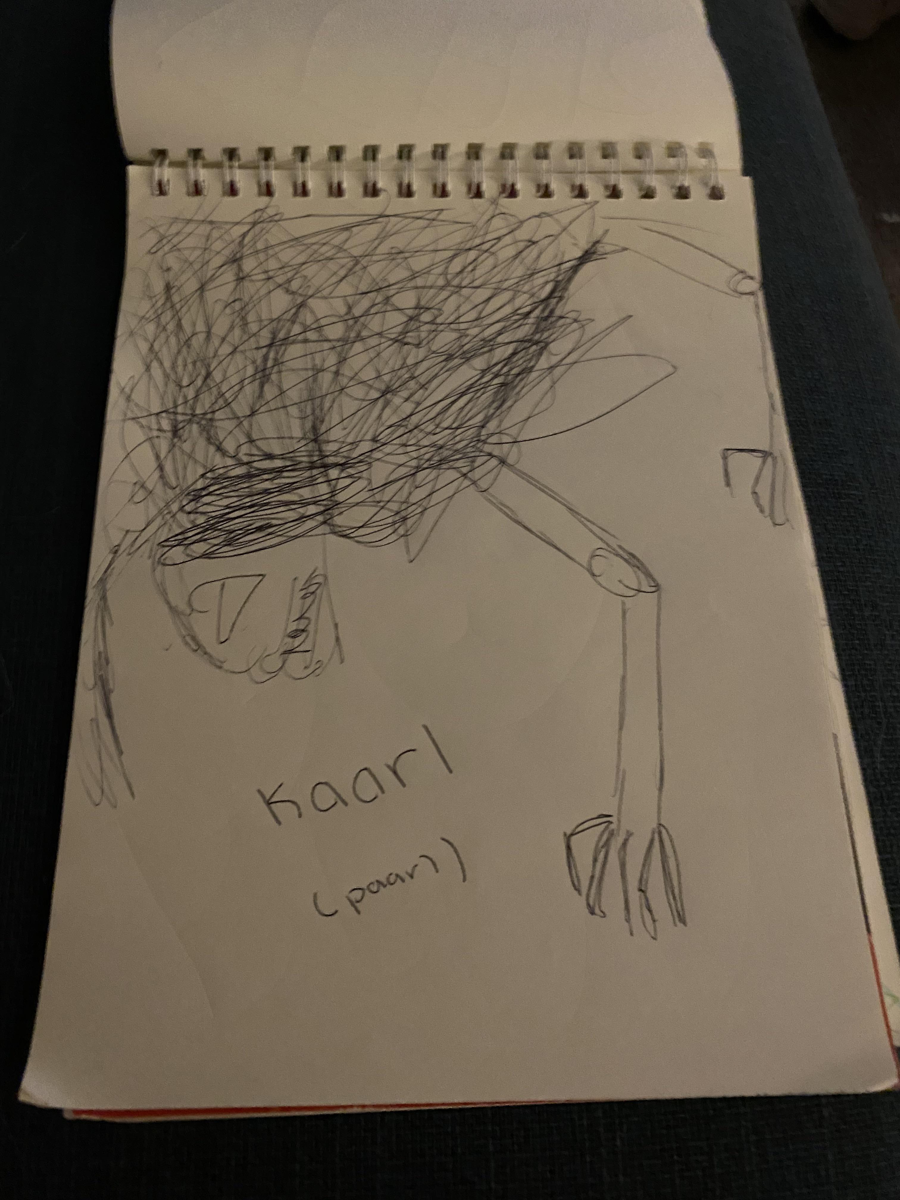 My sister has been watching my bloodborne playthrough, and she made some drawings | Scrolller