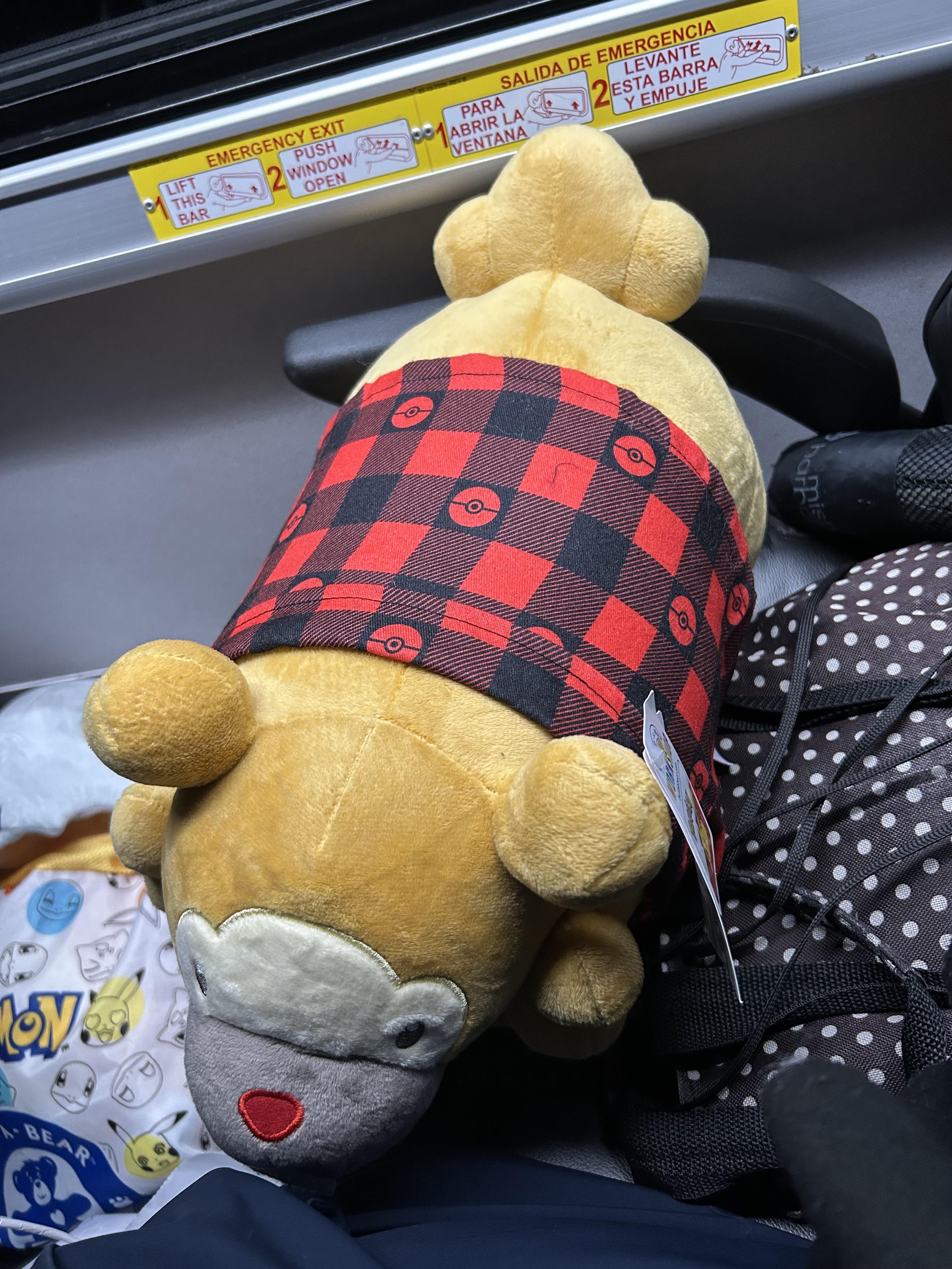 I’ve finally bought Bidoof from my store and now I’m struggling with a name for him | Scrolller