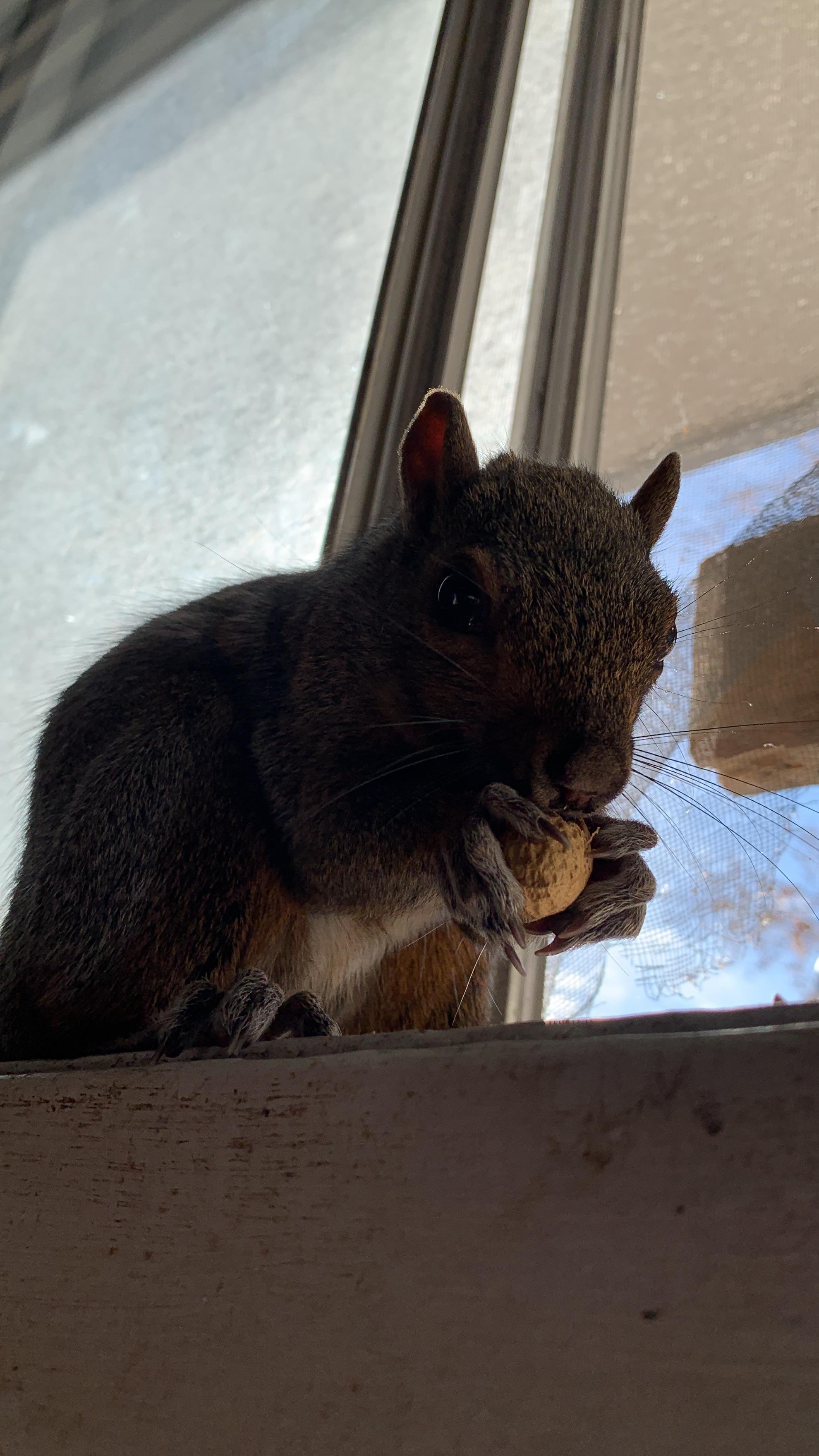 Cheeks and her facial expressions | Scrolller