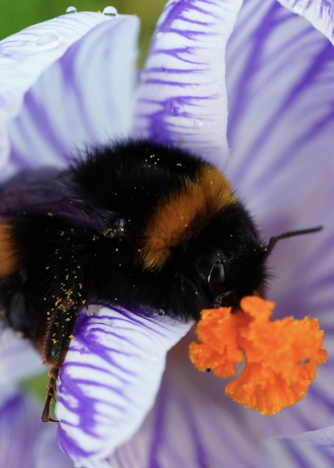A6600 with Sony E 30mm Macro | Scrolller