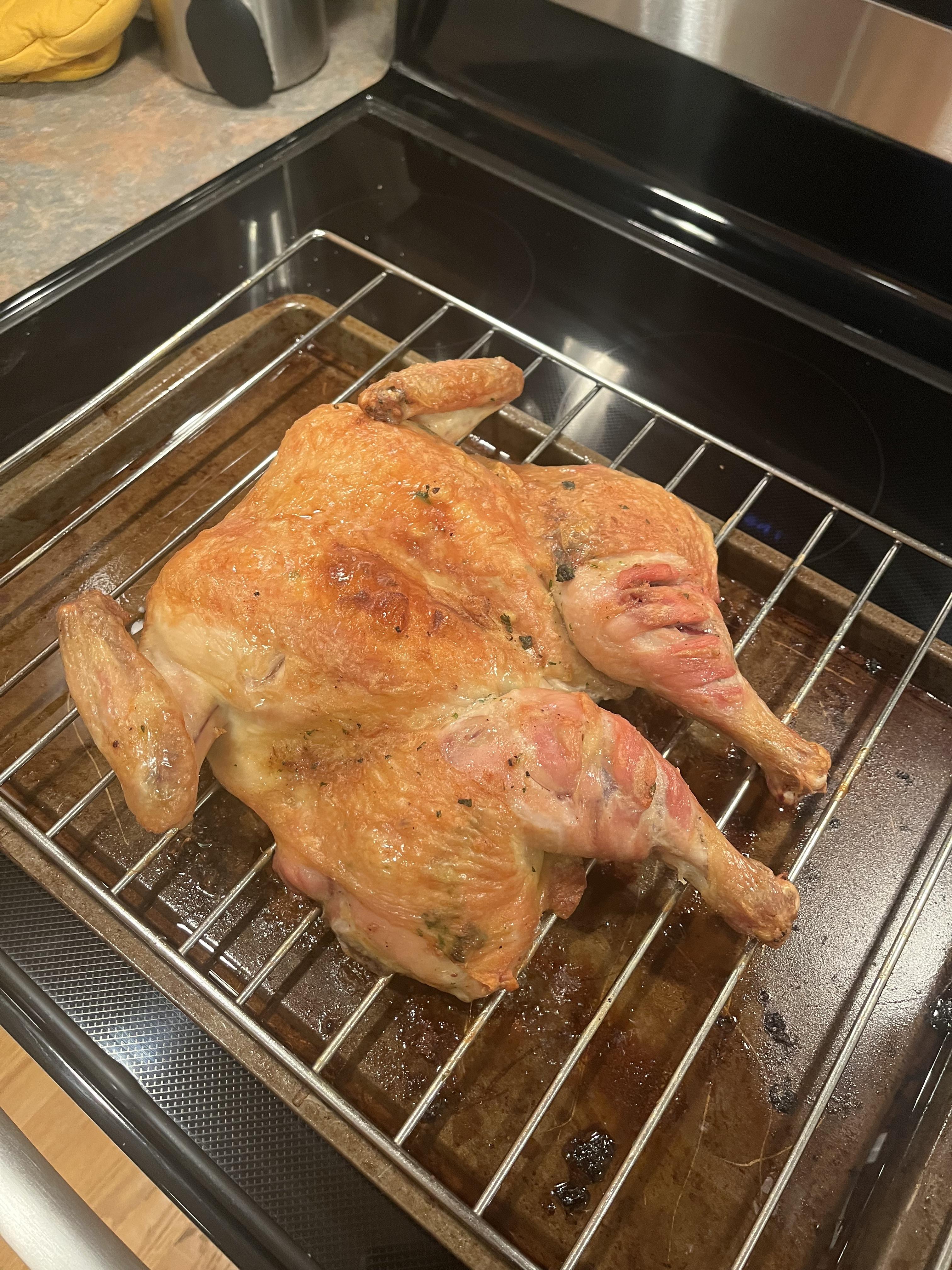 [homemade] Compound spatchcocked chicken | Scrolller