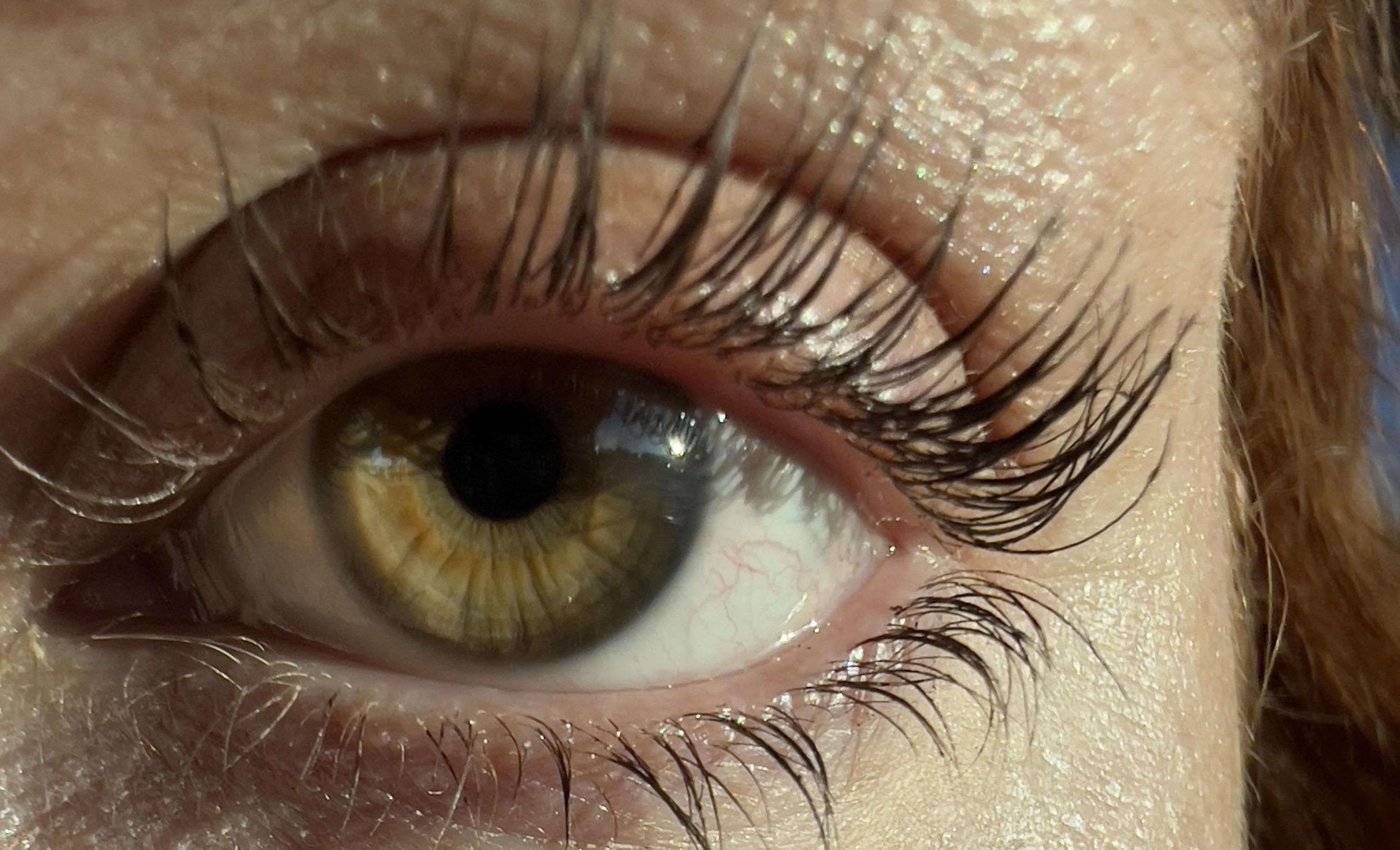 People love to tell me what they aren’t. Green vs hazel. | Scrolller