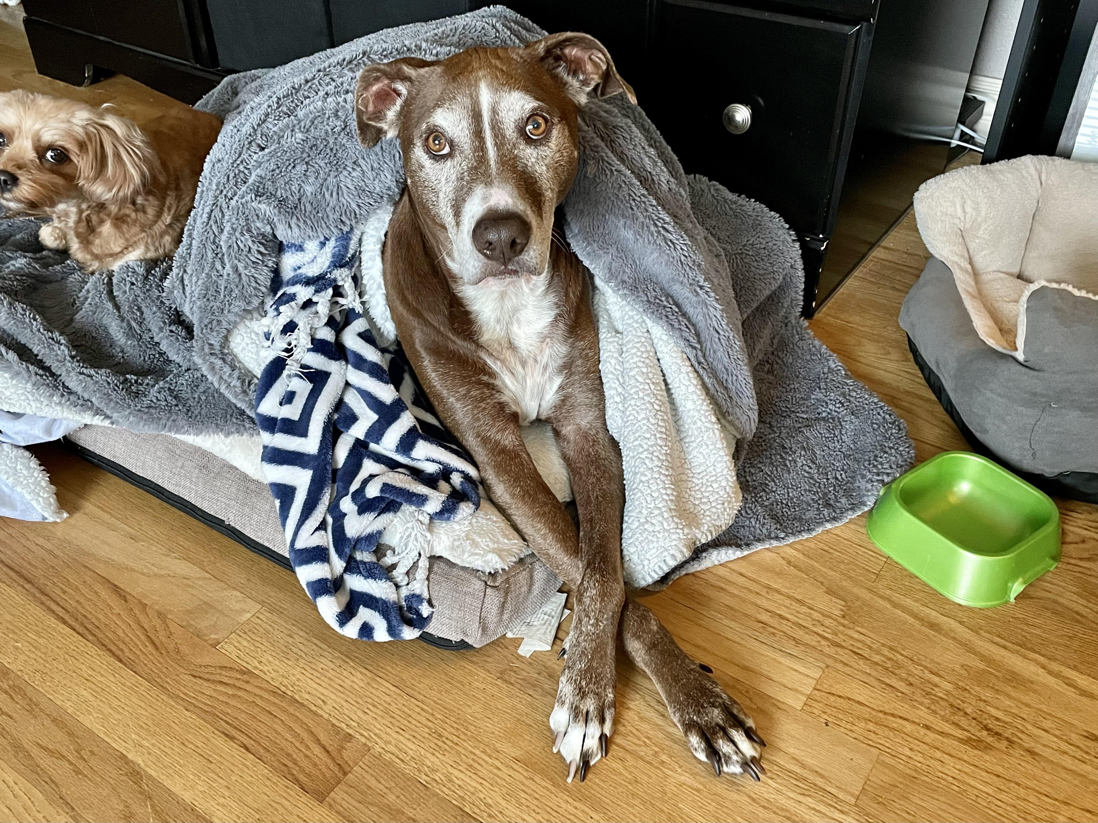 Zuko boy is the fanciest. | Scrolller