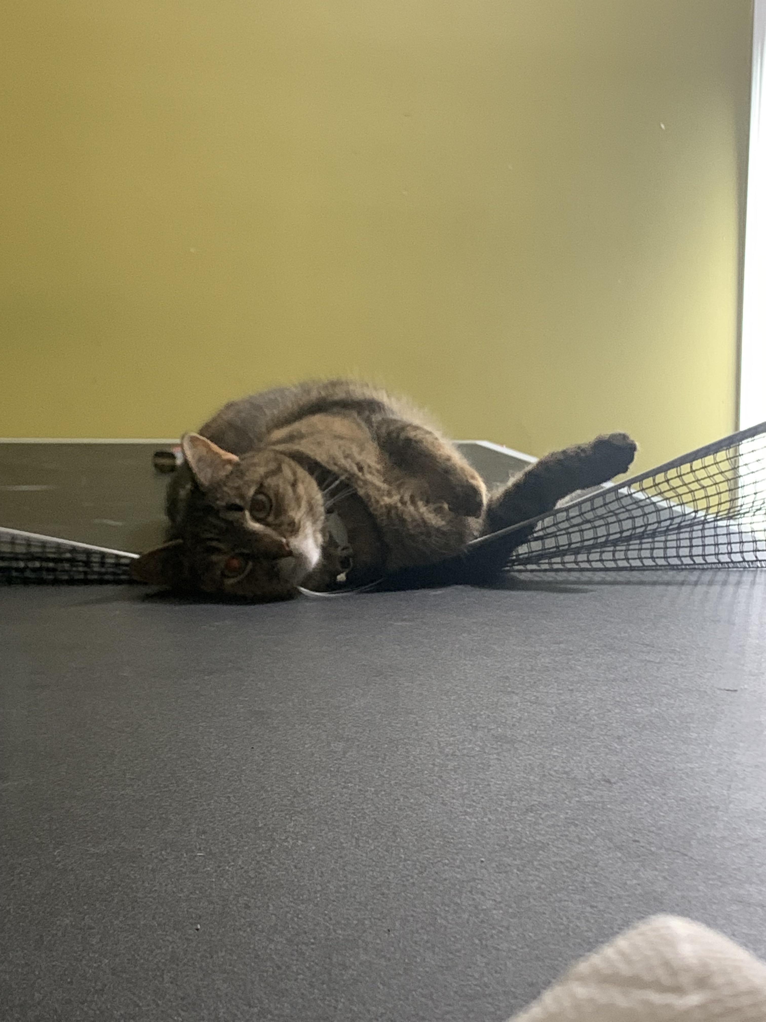 What do we think of Selina? | Scrolller