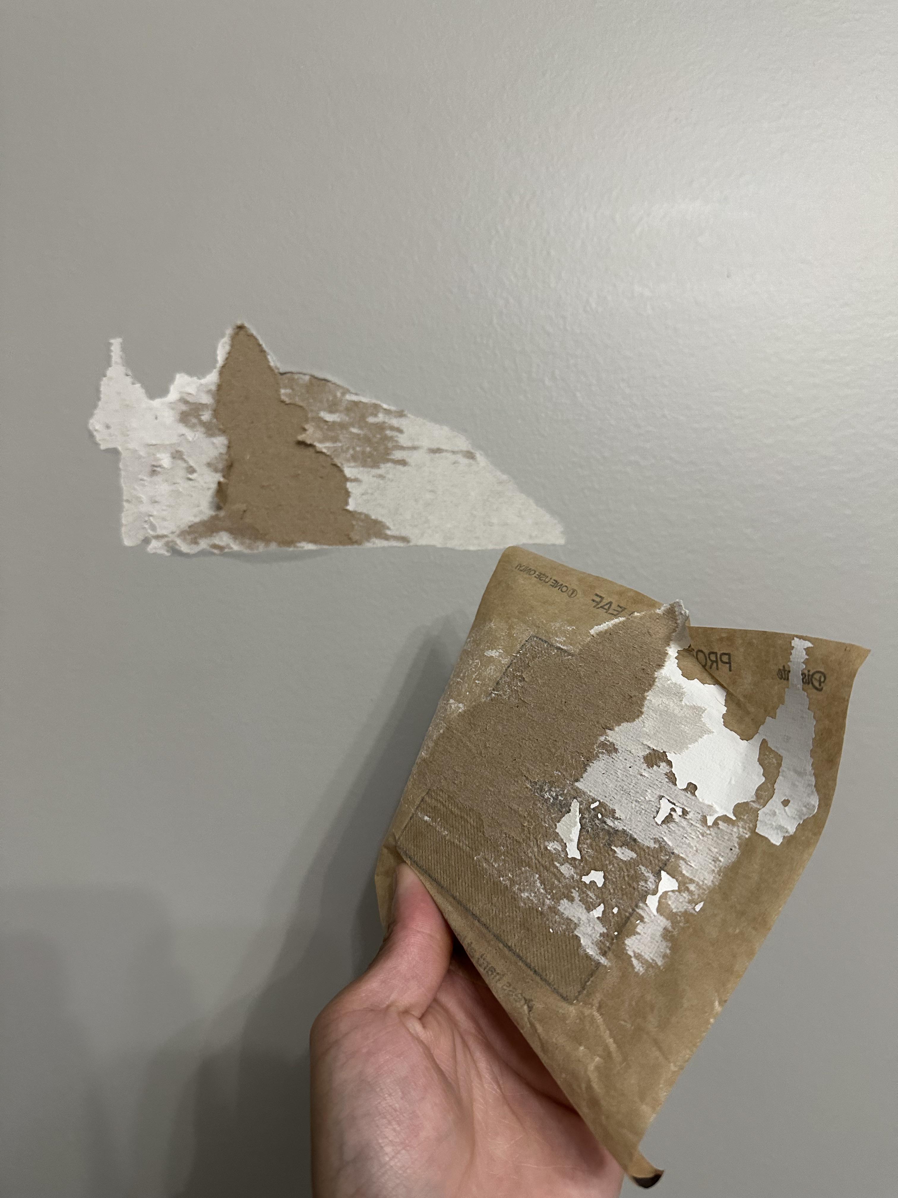 Peeled off from Displate magnet. How do I fix? | Scrolller