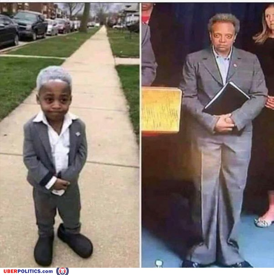 Based Kid | Scrolller