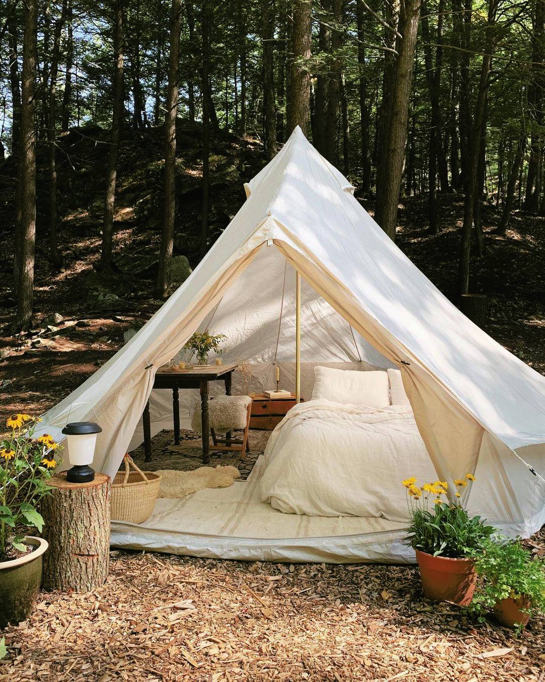 Camping in style! Sign me up! | Scrolller
