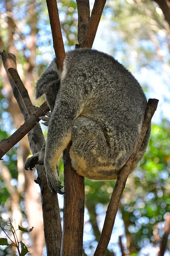 DSC_0219 | Scrolller