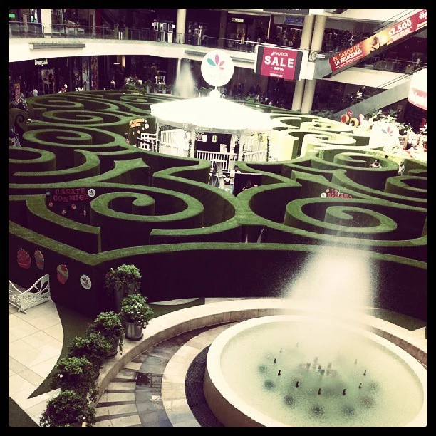 Upload | Scrolller