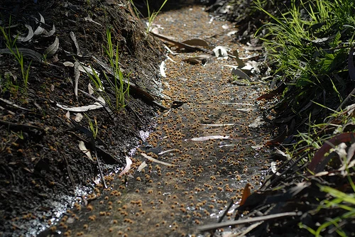 DSC_0012 | Scrolller