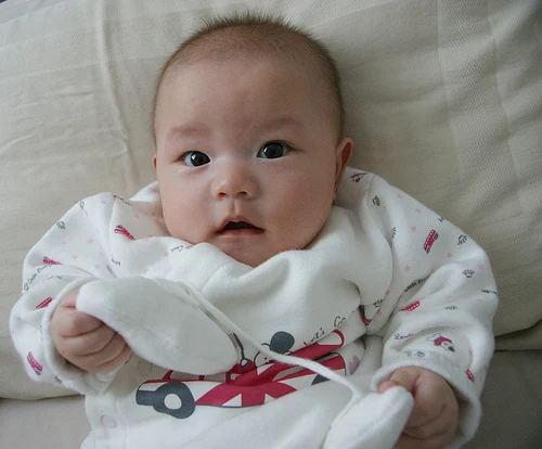 SONY DSC | Scrolller