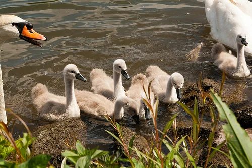 20110626-IMG_1978.jpg | Scrolller