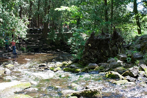 Hilton Falls-2012-05-19-006 | Scrolller