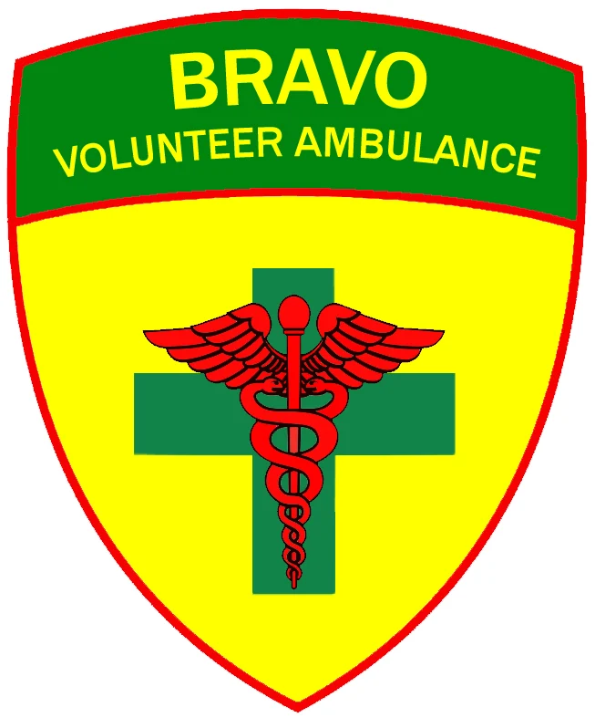 BRAVO's Logo | Scrolller