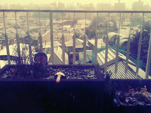 Picplz_upload | Scrolller