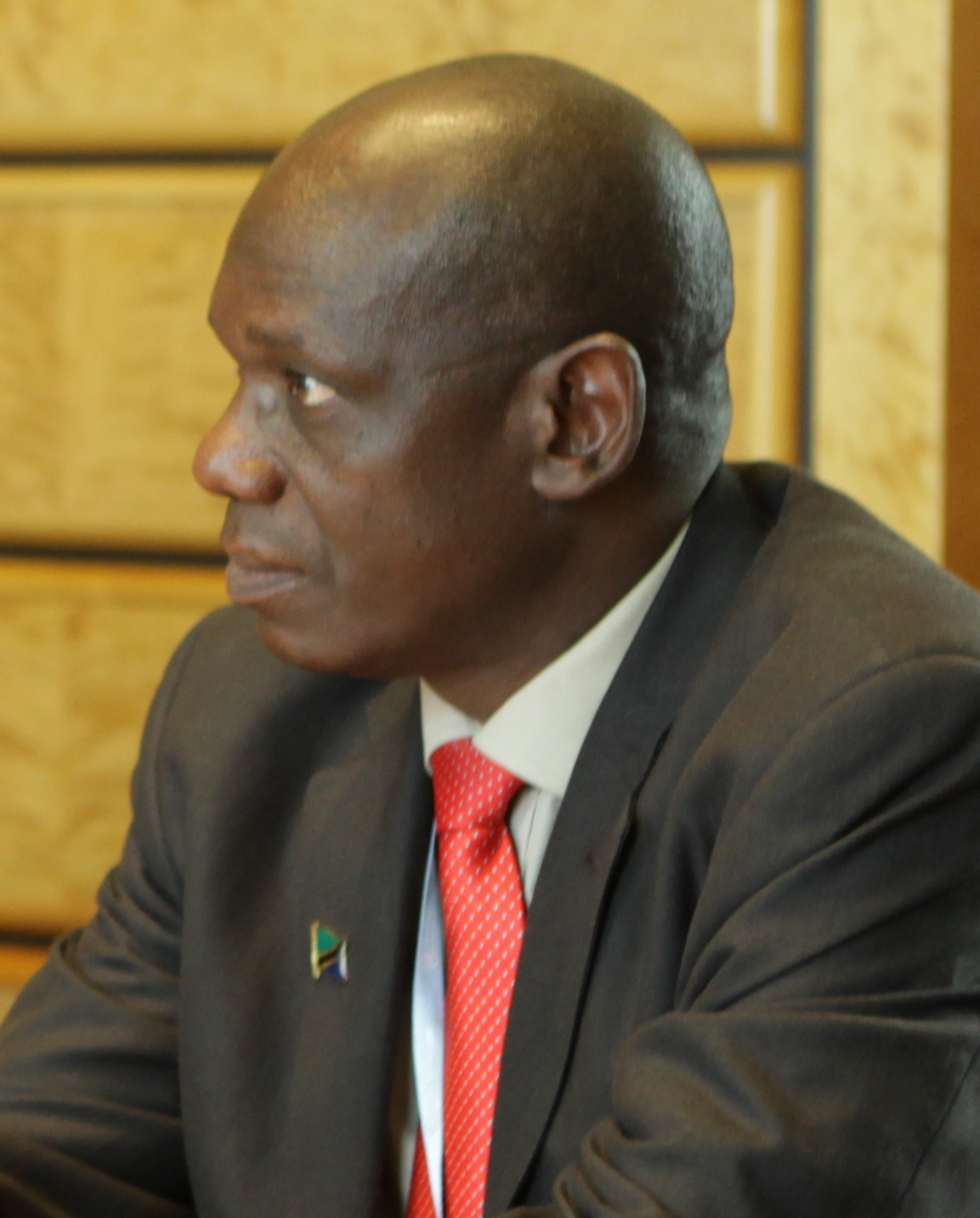 List of MPs elected in the 2010 Tanzania general election | Scrolller