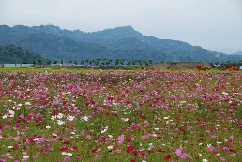 照片 006 | Scrolller