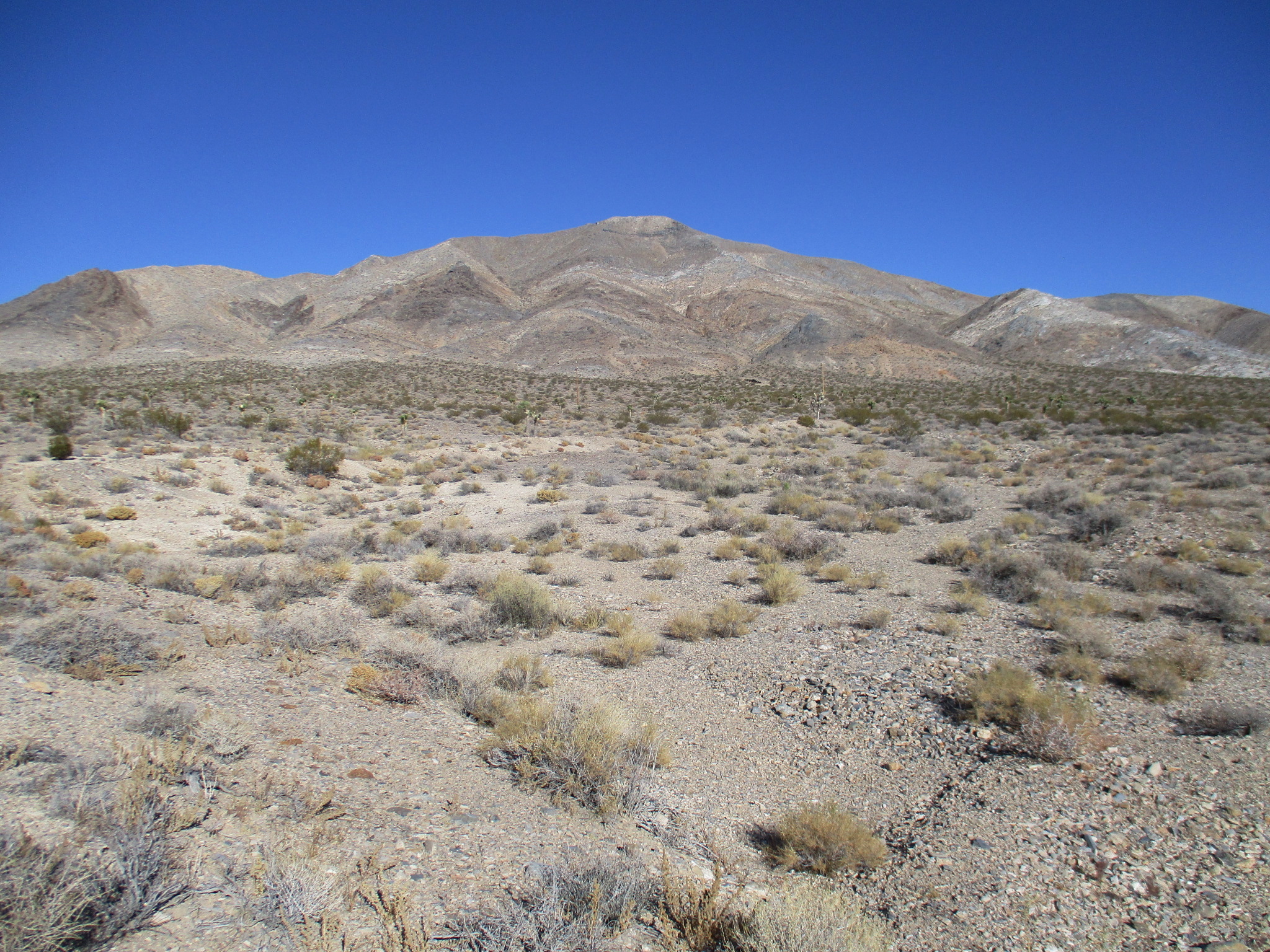 Photo of Ophir Mountain. | Scrolller