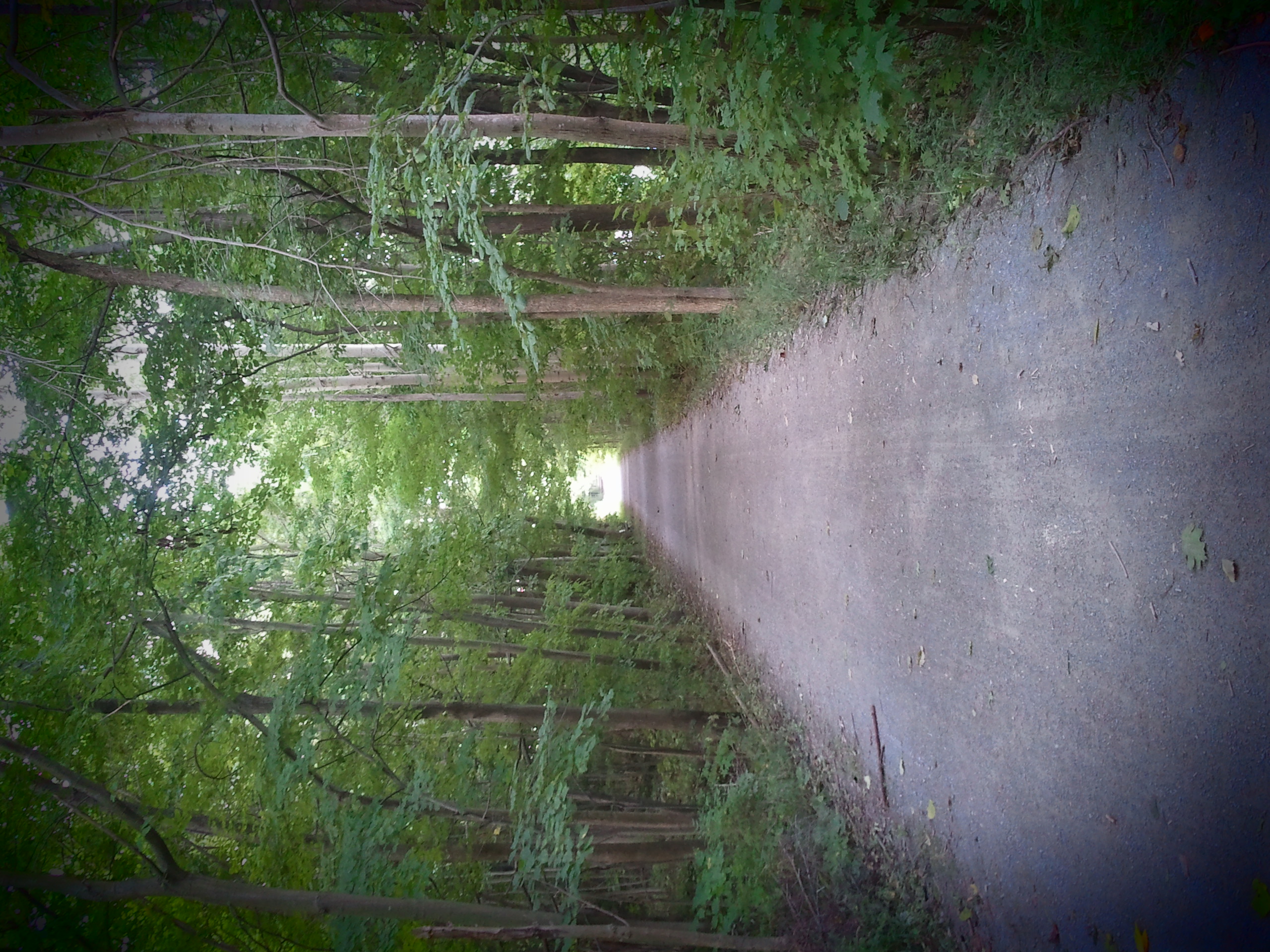 List of rail trails in Michigan | Scrolller