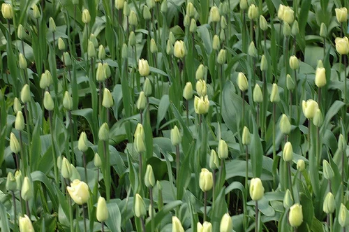 DSC_0167 | Scrolller