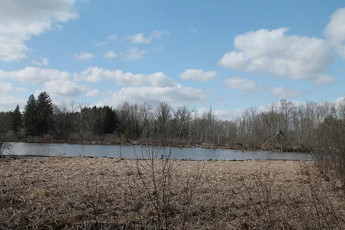 Clouds Overhead | Scrolller