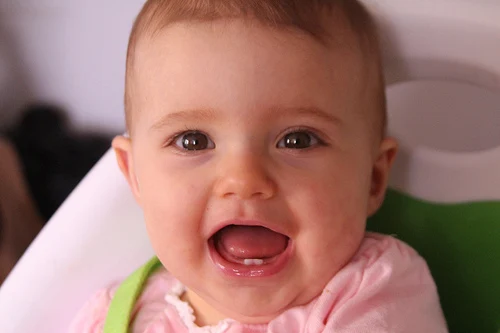 IMG_0813.JPG | Scrolller