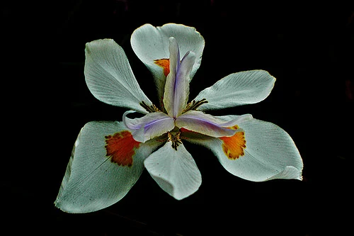 DSC_0046 (4) | Scrolller