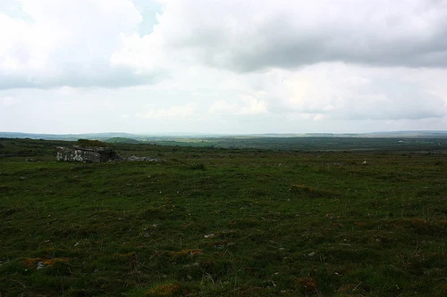 IMG_7334 | Scrolller