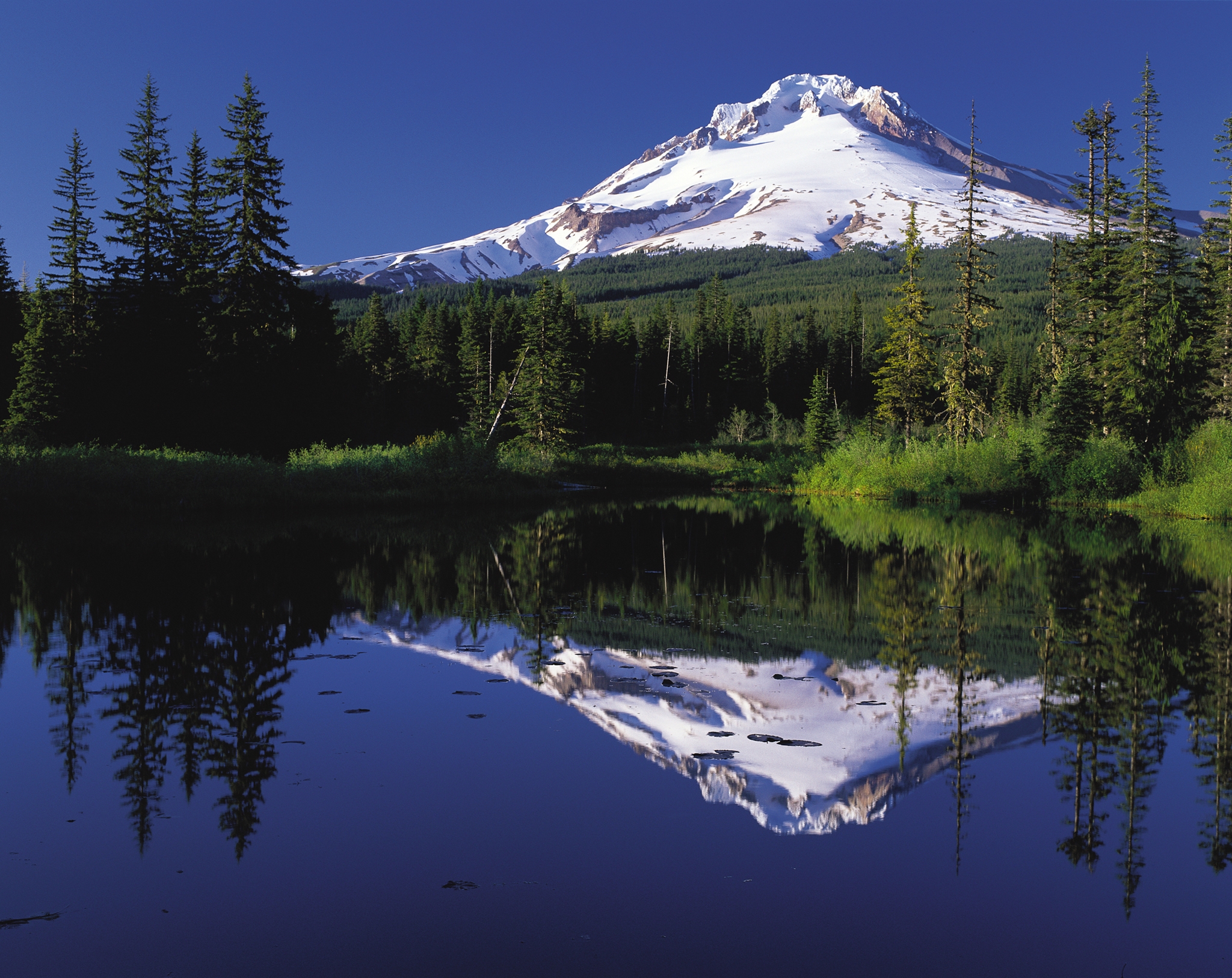 Mount Hood reflected in Mirror Lake | Scrolller